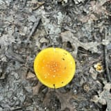 Ryan Park Loop, Rhode Island - 422 Reviews, Map | AllTrails