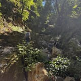 Double Cone Via Ventana Creek, California - 425 Reviews, Map | AllTrails