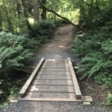 Wildside Trail, Washington - 189 Reviews, Map | AllTrails