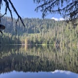 Pinnacle Lake Trail, Washington - 344 Reviews, Map | AllTrails