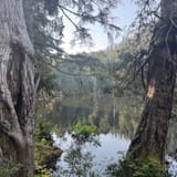 Pinnacle Lake Trail, Washington - 344 Reviews, Map | AllTrails