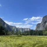 Sentinel Meadow Cook's Meadow Loop Trail, California - 3,834 Reviews ...