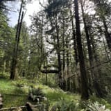 Clatsop Loop Trail from Indian Beach, Oregon - 3,000 Reviews, Map ...