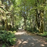 Point Defiance Park Outer Loop, Washington - 4,618 Reviews, Map | AllTrails