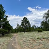 Campbell Mesa Loop, Arizona - 1,365 Reviews, Map | AllTrails