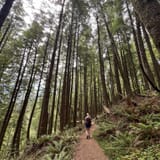 Clatsop Loop Trail from Indian Beach, Oregon - 2,959 Reviews, Map ...