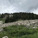Lake Solitude Trail, Utah - 1,574 Reviews, Map | AllTrails