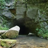 Cave River Valley Trail, Indiana - 206 Reviews, Map | AllTrails