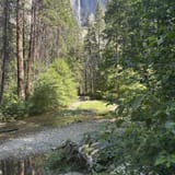 Sentinel Meadow Cook's Meadow Loop Trail, California - 3,834 Reviews ...
