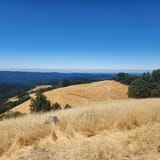 Hickory Oak Ridge Trail Loop, California - 225 Reviews, Map | AllTrails
