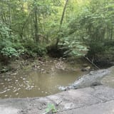 Panther Den Loop, Illinois - 1,060 Reviews, Map | AllTrails