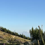 Cable Line Trail to West Tiger #3, Washington - 2,582 Reviews, Map ...