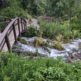 Cascade Springs Interpretive Trail, Utah - 533 Reviews, Map | AllTrails