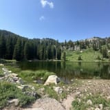 Tony Grove Nature Trail, Utah - 253 Reviews, Map | AllTrails