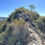 Pages Pinnacle , Queensland, Australia - 1,612 Reviews, Map | AllTrails