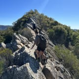 Pages Pinnacle , Queensland, Australia - 1,612 Reviews, Map | AllTrails