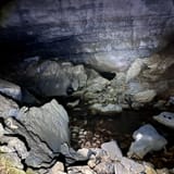 Buggytop Trail to Lost Cove Cave, Tennessee - 773 Reviews, Map | AllTrails