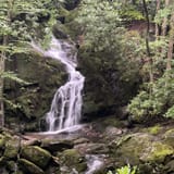 Mouse Creek Falls via Big Creek Trail, Tennessee - 3,041 Reviews, Map ...