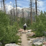 Cub Lake Loop, Colorado - 2,271 Reviews, Map | AllTrails