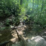 Boone Fork Trail, North Carolina - 3,601 Reviews, Map | AllTrails