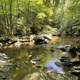 Boone Fork Trail, North Carolina - 3,601 Reviews, Map | AllTrails
