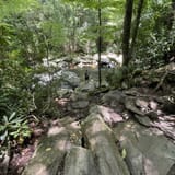 Boone Fork Trail, North Carolina - 3,601 Reviews, Map | AllTrails