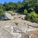 Mount Battie Trail, Maine - 1,108 Reviews, Map | AllTrails