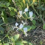 Sachuest Point National Wildlife Refuge Trail, Rhode Island - 2,054 ...