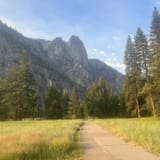 Sentinel Meadow Cook's Meadow Loop Trail, California - 3,834 Reviews ...