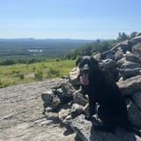 Haystack Mountain Trail, Maine - 304 Reviews, Map | AllTrails