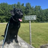 Haystack Mountain Trail, Maine - 304 Reviews, Map | AllTrails