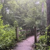 Jones Bridge Trail , Georgia - 3,157 Reviews, Map | AllTrails