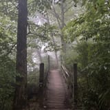 Jones Bridge Trail , Georgia - 3,157 Reviews, Map | AllTrails