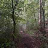 Jones Bridge Trail , Georgia - 3,157 Reviews, Map | AllTrails