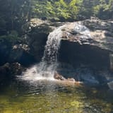 Thompson Falls Trail, New Hampshire - 562 Reviews, Map | AllTrails