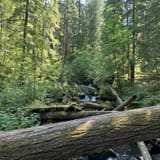 Silver Falls Loop, Washington - 3,513 Reviews, Map | AllTrails