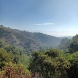 Fryman Canyon Trail, California - 6,341 Reviews, Map | AllTrails