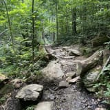 Rose River Trail, Virginia - 5,210 Reviews, Map | AllTrails