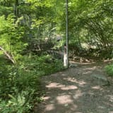 Rose River Trail, Virginia - 5,210 Reviews, Map | AllTrails