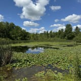 Plateau Trail, Ohio - 3,517 Reviews, Map | AllTrails