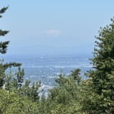 Council Crest via Marquam Trail, Oregon - 2,092 Reviews, Map | AllTrails