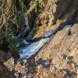 Perry Creek Trail, British Columbia, Canada - 221 Reviews, Map | AllTrails