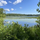 Hudson Pointe Nature Preserve, New York - 794 Reviews, Map | AllTrails