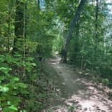 Blowing Springs Park Extended Loop, Arkansas - 1,748 Reviews, Map ...