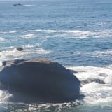 Ocean Path Trail, Maine - 4,037 Reviews, Map | AllTrails