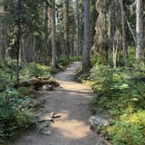 Fairview Lookout, Alberta, Canada - 2,424 Reviews, Map | AllTrails