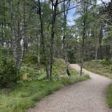 Loch An Eilein and Loch Morlich, Highlands, Scotland - 94 Reviews, Map ...