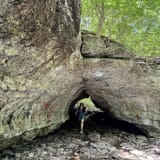 Unity Village Nature Trail, Missouri - 1,648 Reviews, Map | AllTrails