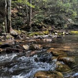 Roaring Run Trail, Virginia - 890 Reviews, Map | AllTrails