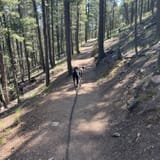 Eagle's View Trail Loop, Colorado - 3,280 Reviews, Map | AllTrails